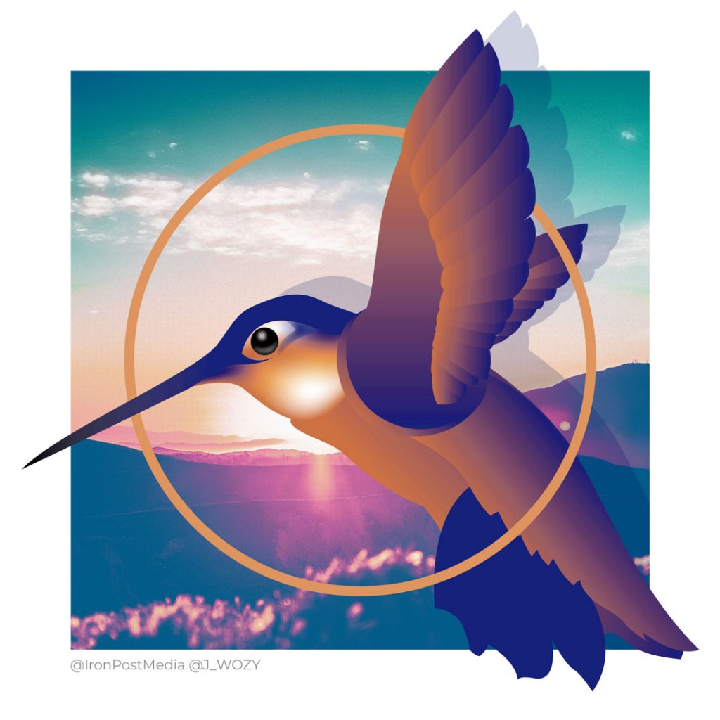 Hummingbird Illustration with Adobe Illustrator and Photoshop